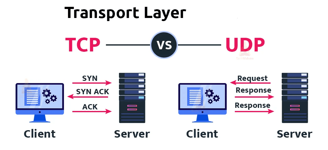 لایه حمل - Transport Layer - خدمات شبکه - OSI Model - مدل OSI - شبکه های کامپیوتری